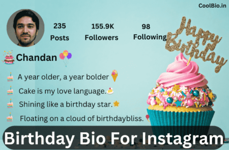 TOP 850+ Birthday bio for Instagram - Instagram Birthday Bio Ideas