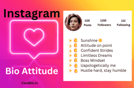 Top 500+Instagram Bio Attitude-cool and attitude-filled bio