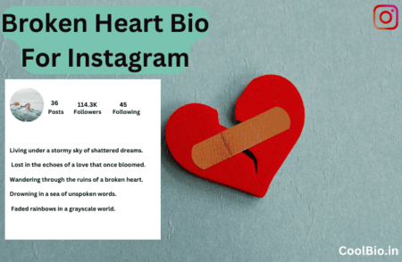 1580+ Broken Bio For Instagram create Crafting a Unique Bio