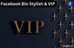 1500+Unique Facebook Bio Styles, Colorful & Attractive Ideas