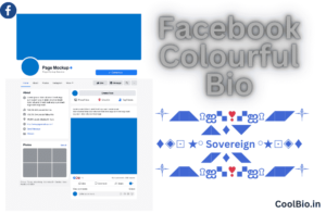 1500+Unique Facebook Bio Styles, Colorful & Attractive Ideas