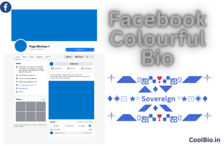 1500+Unique Facebook Bio Styles, Colorful & Attractive Ideas
