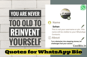 790+ WhatsApp Bio Ideas: Short & Stylish