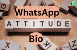 790+ WhatsApp Bio Ideas: Short & Stylish