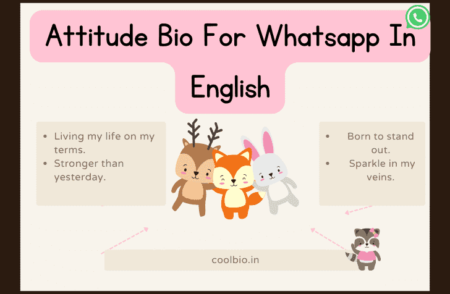 Best Whatsapp Bio Attitude: Top 100 Attitude and Shayari