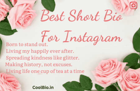 100+ New Short Instagram Bio with Emojis Simple Bio Ideas