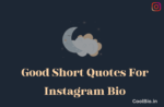100+ New Short Instagram Bio with Emojis Simple Bio Ideas