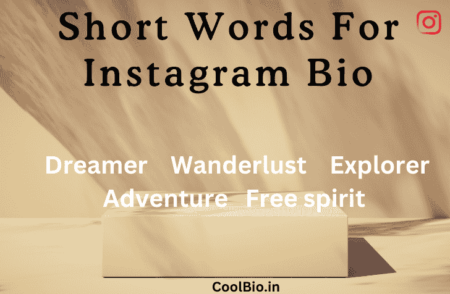 100+ New Short Instagram Bio with Emojis Simple Bio Ideas