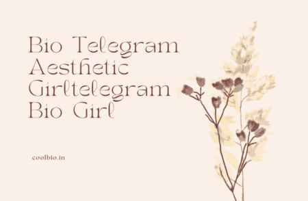 100+ New Stylish & Aesthetic Telegram Bios for Girls