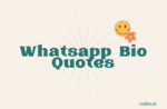 852+Quotes for WhatsApp Bio - Sparkle Your Profile Wisdom